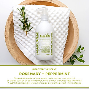 Sapadilla Liquid Hand Soap - Three Scent Variety - Made with 100% Pure Essential Oil Blends, Cleansing & Moisturizing, Aromatic & Fragrant Hand Soap, Plant Based, Biodegradable, 12 Ounce, (Pack of 3)