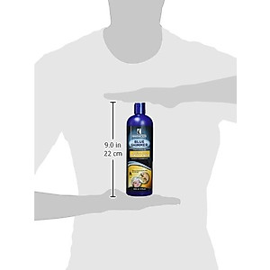 Conditioner with Argan Oil