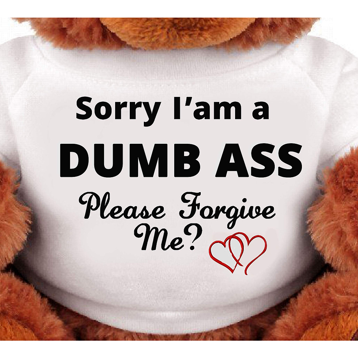Sorry and Forgive Me Gift: Funny Teddy Bear Couple Gift: Medium Teddy Bear Stuffed Animal