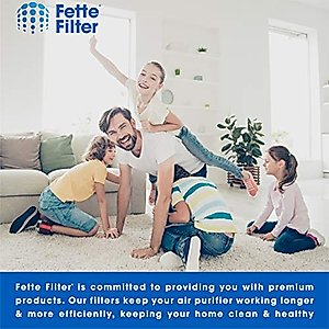 Fette Filter - Replacement Filter U Compatible with Honeywell HEPAClean U Filter HRF201B and Febreze FRF102B For HHT270, HHT290 & Febreze FHT170, FHT180, FHT190 - Pack of 6