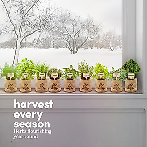 9 Herb Indoor Window Garden Kit - House Plants Seeds - Best Unique Easter Gift Ideas for Women, Mom, Friend, Her, Birthday, Housewarming, Mother - New Home Kitchen Gifts - Live Plant Starter