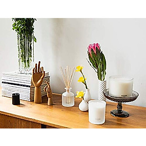 Apotheke Signature Amber Woods Candle, 1 EA