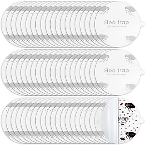 Flea Trap Refill Discs Sticky Traps Fly Trap Refill Glue Board Refills Trap Double Layer Adhesive Nontoxic Odorless Pest Control Traps Replacement Sticky Glue Pads 7.1 Inch for Bugs Flies (60 Pcs)