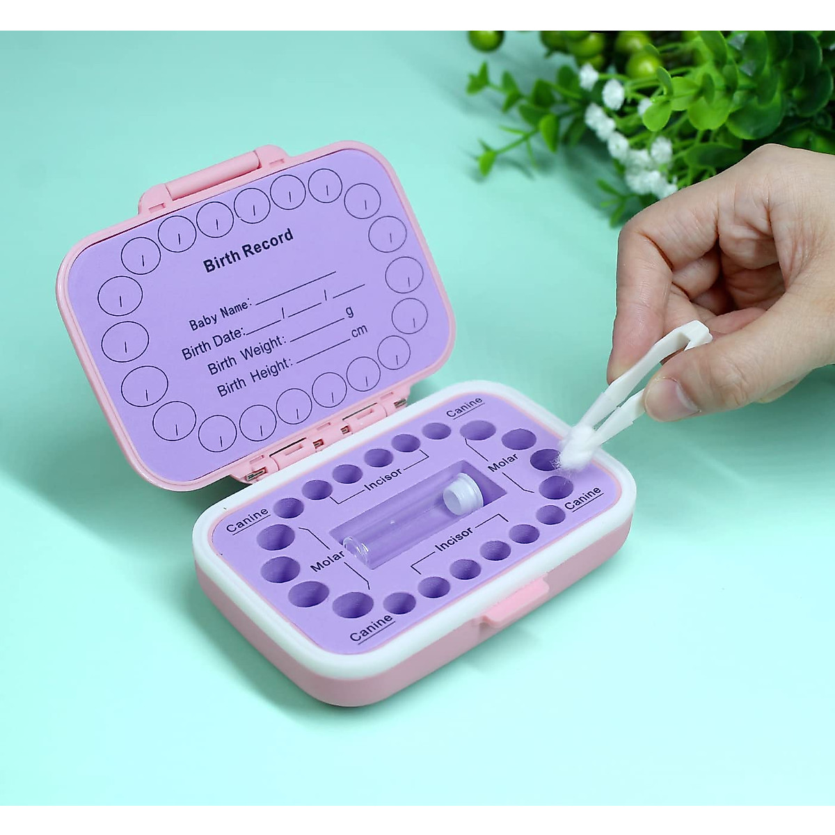 Vewye Baby Tooth Box Kids Keepsake Organizer Cute Children Tooth Fetal Hair Container with English Mark (Rainbow-Pink)