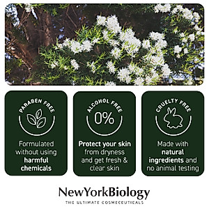 New York Biology Aloe Vera Gel for Face, Skin and Hair - Infused with Tea Tree Oil - From Fresh Aloe Vera Plant - Moisturizing Aloe Vera for Sunburn Relief and Dry Skin - 16.9 Fl Oz