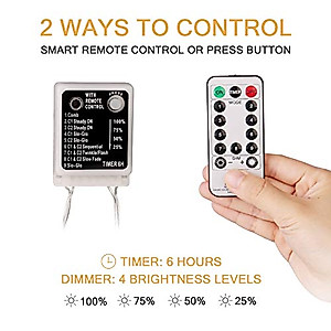 Lighting EVER Dual Color Curtain Lights Warm & White, 10 ft x 10 ft 300 LED Backdrop Lights with Remote/Timer/Dimmer/9 Modes, Indoor Outdoor Hanging Fairy Lights for Bedroom, Wedding Party, Patio