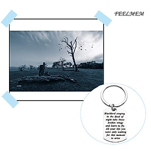 FEELMEM Song Lyrics Art Jewelry Blackbird Singing Song Quote Keychain Blackbird Singing in the Dead of Night Inspirational Gifts (keychain-Blackbird)