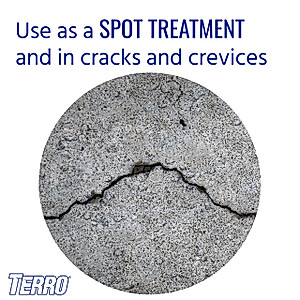 TERRO T401-6 Indoor and Outdoor Ant Killer Aerosol Spray - Kills Ants, Cockroaches, Crickets, Scorpions, Spiders, and Other Insects - 16 Oz