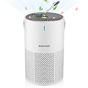 Air Purifiers for Bedroom Home 5 Layers H13 HEPA Air Filter, 22dB Ultra-quiet Air Purifier for office,Desktop,Kitchen,Filter 99.99% Smoke,Pollen, Pet Dander,Dust,Ozone Free,Available for California