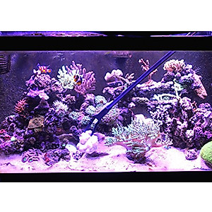 AquaticHI Aquarium Tongs 27 inch (70 cm), 100% Reef Safe, Multi Purpose for Fresh and Saltwater Fish Tanks, Clip Plants, Spot Feed Fish and Coral, Keep Hands Dry
