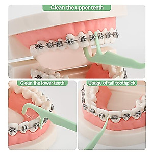 300 Count Orthodontic Flossers for Braces with Floss Dispenser, Braces Flossers for Kids Teeth & Adults, Dental Floss for Braces, Dental Floss Picks, 50 Count Bag (Pack of 6)