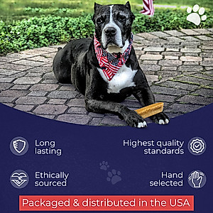 Devil Dog Pet Co. Himalayan Yak Chews, Yak Cheese Dog Chews, 100% Natural & Healthy, Lactose Free, Long Lasting, Yak Chew Treats – Premium Yak Milk Dog Chew, Yak Bones for Dogs | Monster - 3 Pack