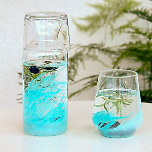 Rakle Bedside Water Carafe – 23.6oz Water Carafe and Glass – Glass Water Pitcher for Nightstand, Bedroom, Bathroom – Glass Water Carafe/Mouthwash Container for Water, Lemonade, Juice