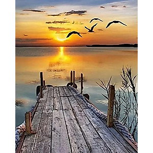 DIY Painting by Numbers for Adults, Bridge at Sunset Paint by Number, Sea Adult Paint by Numbers Kits on Canvas, Seabird Paint by Numbers for Beginner and Kids Flameless (16X20 Inch)