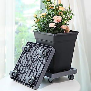 Plant Caddie with Wheels and Water Storage Tray, 11.8" Rolling Plant Stand, 4-Wheeled Plant Roller, Lockable Casters, Heavy Duty Plant Caddy for Large Indoor and Outdoor Planters
