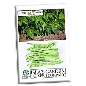 Kentucky Wonder Bush Bean Seeds for Planting, 30+ Heirloom Seeds Per Packet, (Isla's Garden Seeds), Non GMO Seeds, Botanical Name: Phaseolus vulgaris