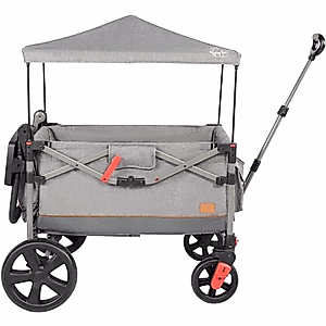 Busy Bee Foldable Wagon Stroller for 2 Kids, Push Pull Collapsible Kids Wagon with Adjustable Handle Bar, Removable Canopy, 5-Point Harness, Shock-Absorbing Wheels, Grey