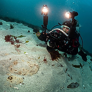 Light & Motion Sola Video PRO LE 3800 Flood Light, Black