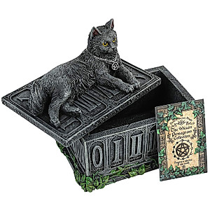 Nemesis Now B2808G6 Fortune's Watcher Tarot Box 17cm Black, Resin