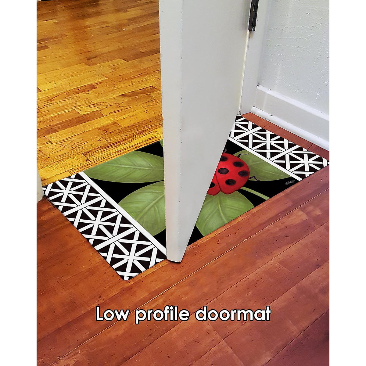 Toland Home Garden 800054 Ladybug Summer Door Mat 18x30 Inch Outdoor Doormat for Entryway Indoor Entrance