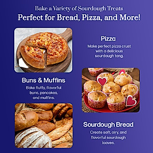 San Francisco Sourdough Starter - Dehydrated Heirloom Style Sourdough Starter for Sourdough Bread, Pizza, Buns, Pancakes, Muffins | Easy to follow instructions. By Captain Sourpants