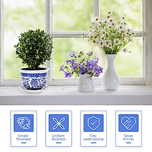 GANAZONO Ceramic Planter Blue and White Planter Flower Pots with Tray Porcelain Bonsai Pot Plant Container Planter for Home Office