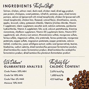 Fromm Four-Star Nutritionals Surf & Turf Cat Food - Premium Dry Cat Food - Salmon Recipe - 4 lb