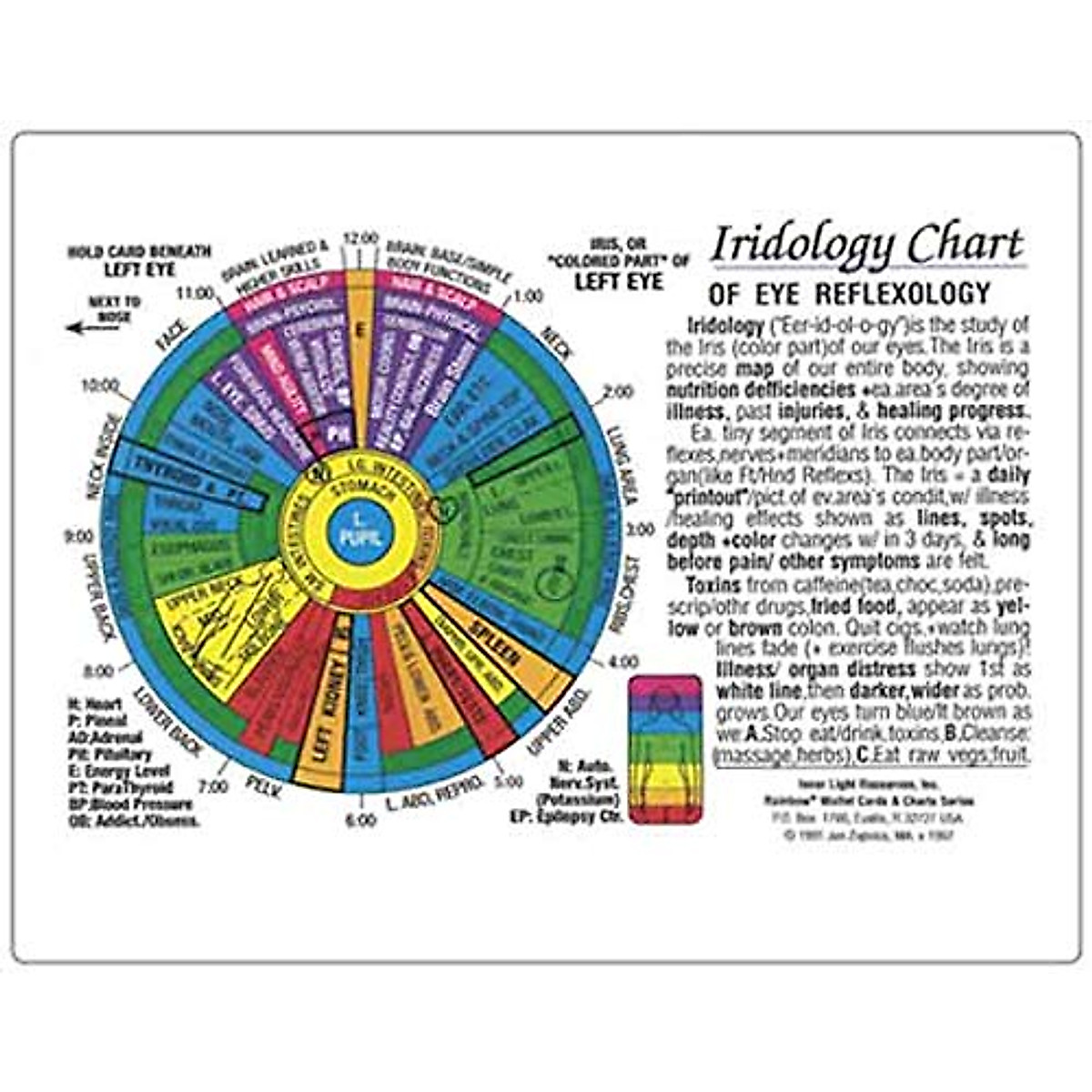 IRIDOLOGY CHART of EYE Reflexology (Rainbow Coded) in the Inner Light Resources Rainbow® Cards & Charts Series. 8.5 x 11 in. (Small Poster/ Large Card)