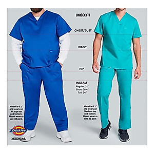 Dickies Men & Women Top and Pant Scrubs Set Plus Size DKP520C, 3XL, Ciel