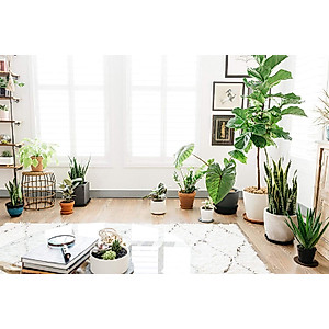 Curtis Wagner Plastics Hanging Wire Coco Basket Drip Pan (5-Pack) - 12-14 Inch - Fast & Easy Snaps, Used Indoors, Outdoors & Garden Potting