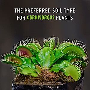 Carnivorous Plant Soil - Long Fibered Sphagnum Moss - 2 Quarts - New Zealand Grade - for Potting Venus Fly Traps, Sarracenia, Pitcher Plants, and Other Carnivorous Plants