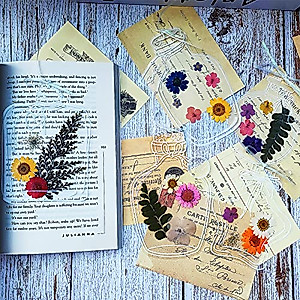 5 Large PET Bookmarks Book Accessories Transparent Dried Flower Bookmarks, Creative Handmade Flower Bookmarks,Unique Gifts for Readers
