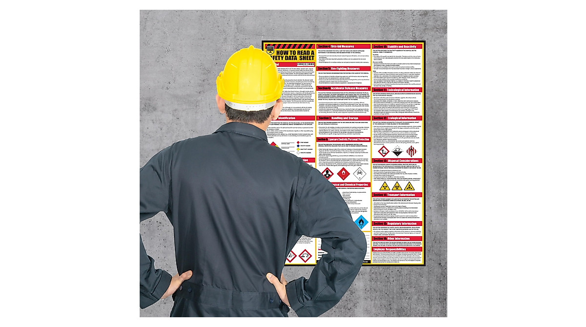 How To Read A Safety Data Sheet (SDS/MSDS) Poster, 24 x 33 Inch, UV ...