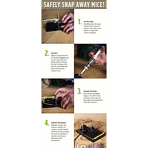 Grandpa Gus's Pest Control Large Snap Traps for Mice/Rats, Durable Plastic, Stainless Steel Powerful Spring Arm & Very Sensitive Trigger (Pack of 6)