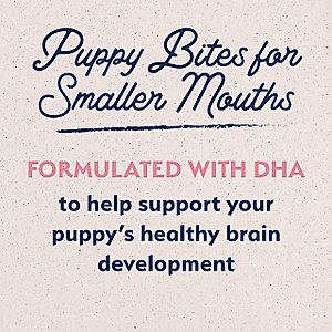 Natural Balance Limited Ingredient Puppy Dry Dog Food with Healthy Grains, Salmon & Brown Rice Recipe, 24 Pound (Pack of 1)