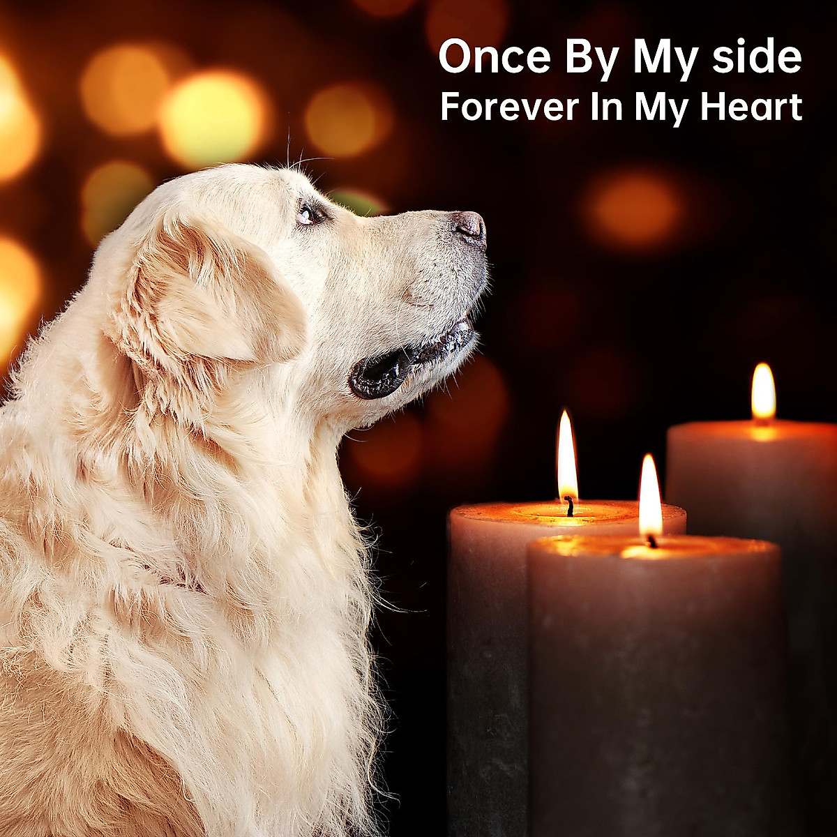 Ourea Dog Memorial Picture Frame - Dog Memorial Gifts with Pet Urns for Dogs Ash, Dog Picture Frames for Dogs That Passed - Pet Memorial Frames for Loss of Dog, Pet Memorial Frame