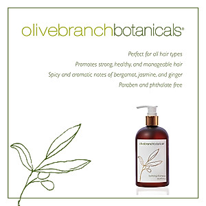 Gilchrist & Soames Olive Branch Shampoo - 12oz - All Hair Types, Zero Parabens, Sulfates, and Phthalates