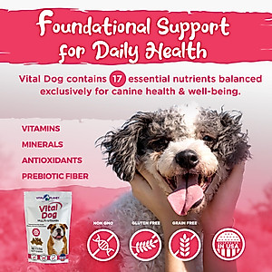 Vital Planet - Vital Dog Multivitamin for Everyday Health with Vitamins, Minerals and Antioxidants - 30 Bacon Flavored Soft Chews