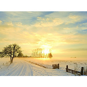 Note Card Cafe Christmas Card Assortment with White Envelopes | 36 Pack | Turning of the Seasons | Blank Inside, Glossy Finish | Set for Holidays, Winter, Gifts, Presents, Secret Santa, Work Parties