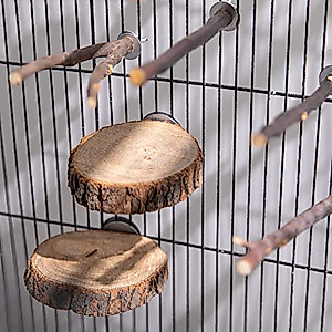 Deloky 8 PCS Natural Wood Bird Perch Stand-Wooden Parrot Perch Stand-Perch Platform Cage Accessories for Parrotlets Budgies Cockatiels Parakeets Lovebirds