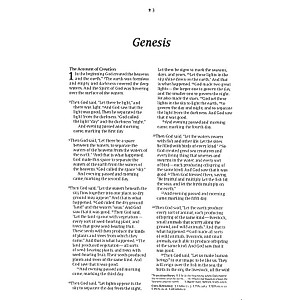 Personalized NLT Thinline Reference Bible Filament Enabled Edition Soft Leather-look, Rustic Brown, Baptism, Graduations, New Living Translation