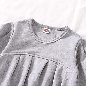 Ritatte Toddler Girls Clothes Winter Warm Long Sleeve Tops Long Pants Suit Kids Soft Cotton Fall Outfits 2Pcs Set(Gray,3-4T(110))