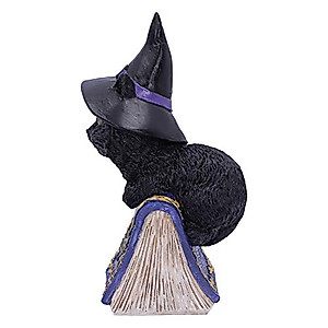 Nemesis Now Pocus Witch's Familiar Black Cat Figurine with Spellbook – Hand-Painted Resin Decoration for Witchcraft and Magic Lovers