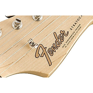 Fender Pure Vintage String Tree Kit