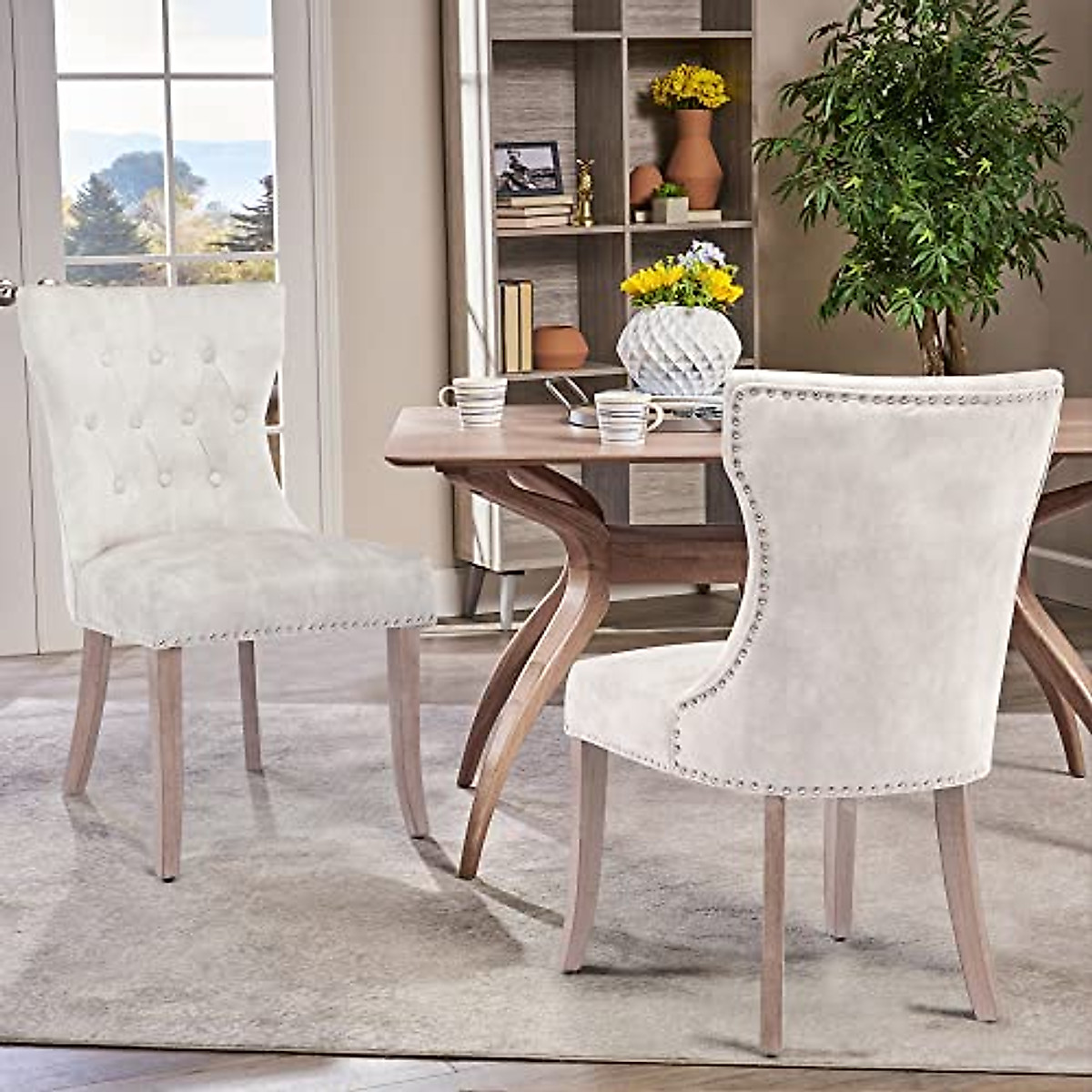 Creek Vista Tufted Velvet Dining Chairs, Upholstered Fabric Dining Room Chairs with Nailhead Trim, Stylish Kitchen Dining Room Chairs with Wood Legs for Living Dining Room, Beige