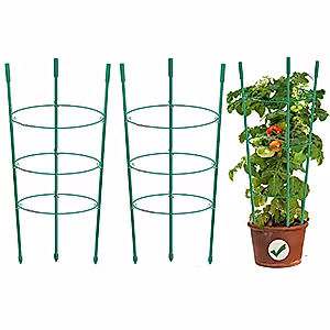 Plant Support Cages, Plant Support Stake, Metal Ring Garden Plant Stake, Gardening Plant Trellie, Green Plant Support Ring, Plant Cage, Plant Support for Tomato, Rose, Vine