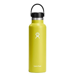 Hydro Flask 21 oz Standard Mouth with Flex Cap Stainless Steel Reusable Water Bottle Cactus - Vacuum Insulated, Dishwasher Safe, BPA-Free, Non-Toxic