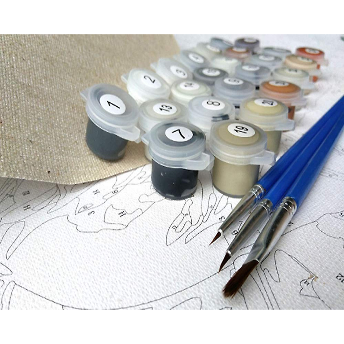 BOMUVI Paint by Numbers for Adults Beginner Paint by Numbers for Adults DIY Paint by Number Kits Acrylic Painting Villain Paint by Number Kits on Canvas Home Decor Gift for Adults Kids 16x20 in