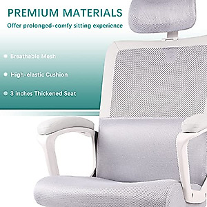 Office Chair, Ergonomic Mesh Computer Desk Chair, High Back Swivel Task Executive Chair Padding Armrests with Adjustable Rotatable Headrest Lumbar Support (Light Gray, No Hanger)