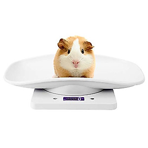 Digital Pet Scale, Animal Scales Platform Accurately Baby Weighing Tray Mini Precision Gram Weight Balance Multifunction LED Weights Tool Blue Backlight for Kitten Puppy Hamster Little Bird Toddler